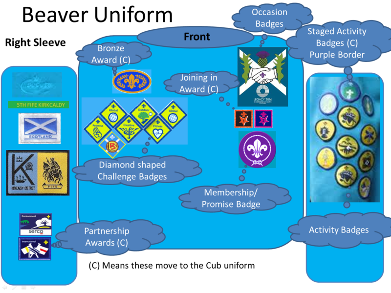 5th Fife Scout Group - Badge Positions